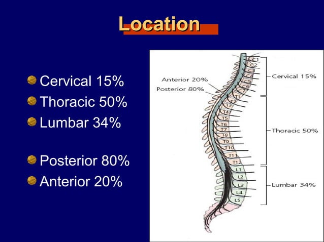SPINAL EPIDURAL, AND SUBDURAL - INTRAMEDULLAR ABSCESSES | PPT