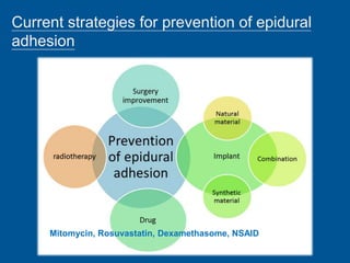 epidural adhesion prevention.pptx