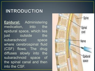 Epidural administration | PPT