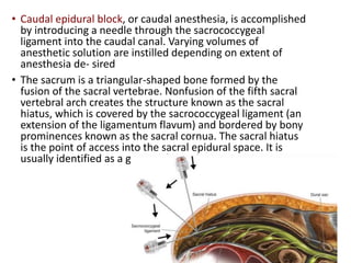 Epidural Anaesthesia.pptx