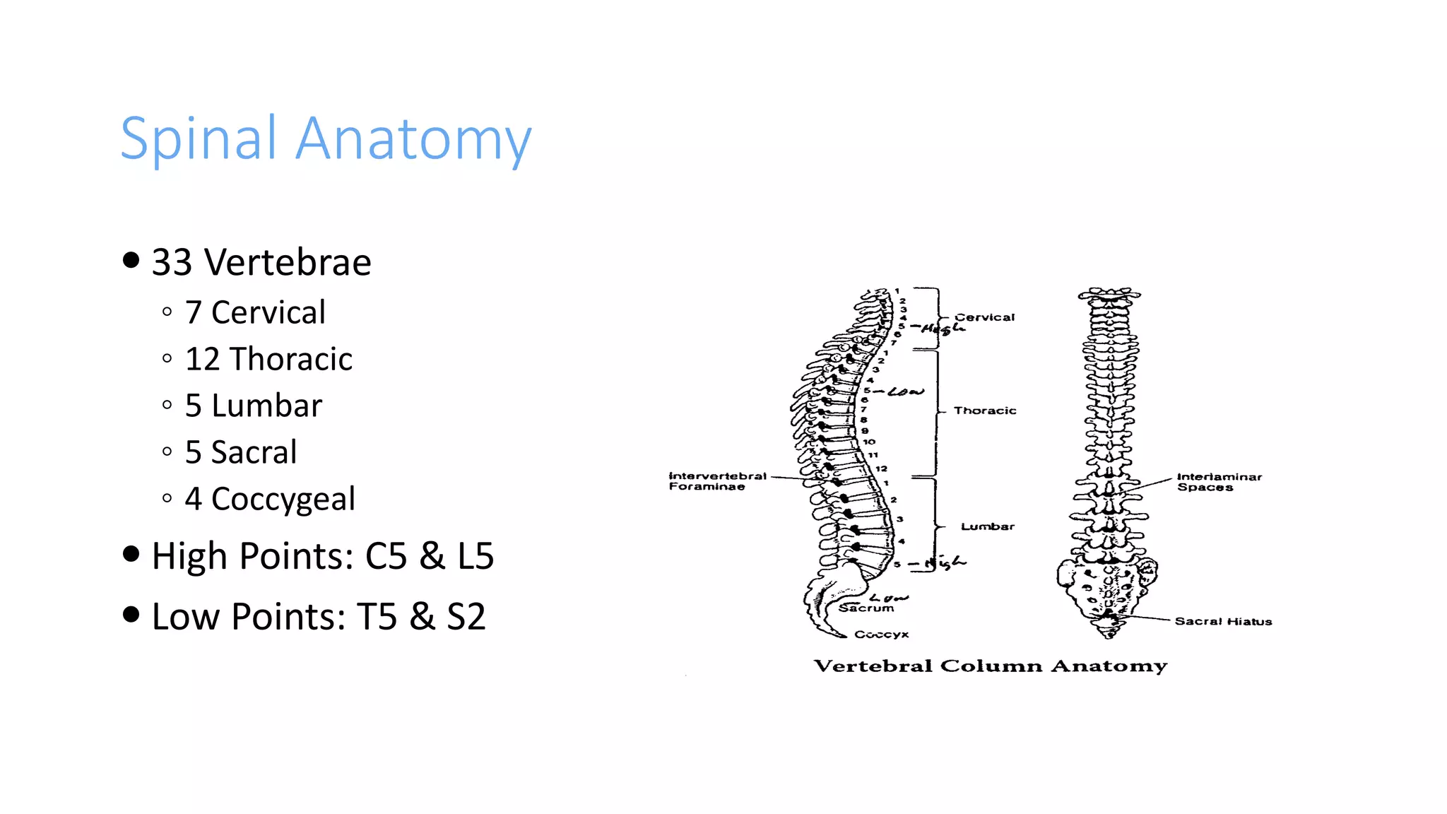 EPIDURAL ANAESTHESIA.pptx