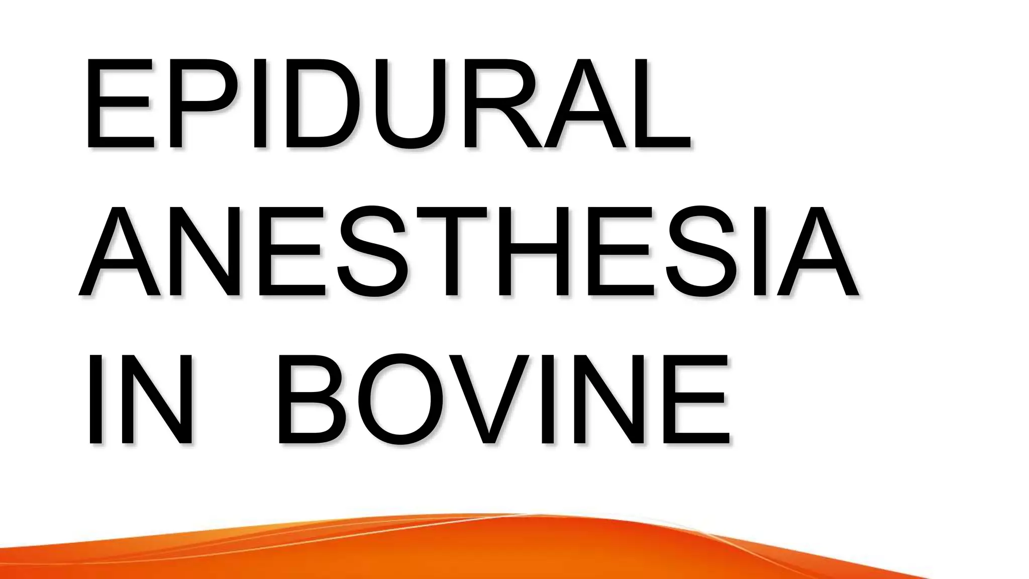 Epidural Anesthesia in Bovine | PPT