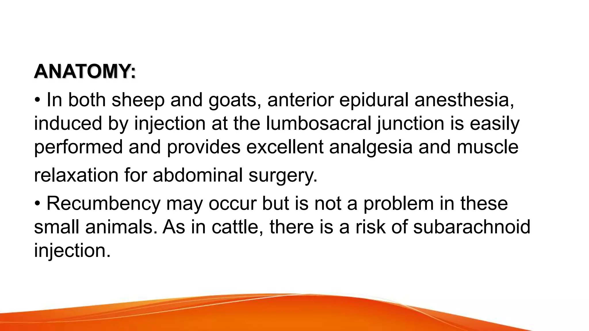 Epidural Anesthesia in Bovine | PPT