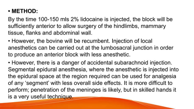 Epidural Anesthesia in Bovine | PPT | First Aid | Injuries