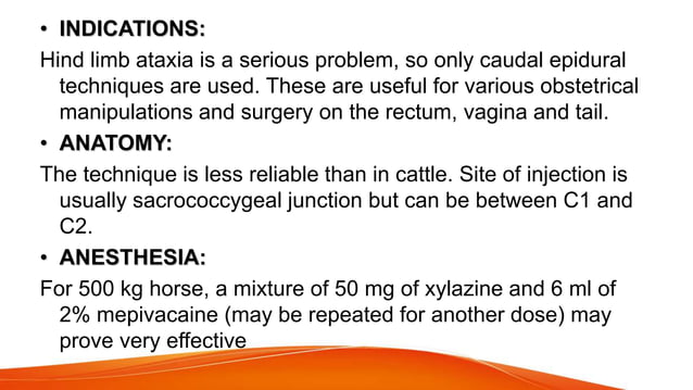 Epidural Anesthesia in Bovine | PPT | First Aid | Injuries