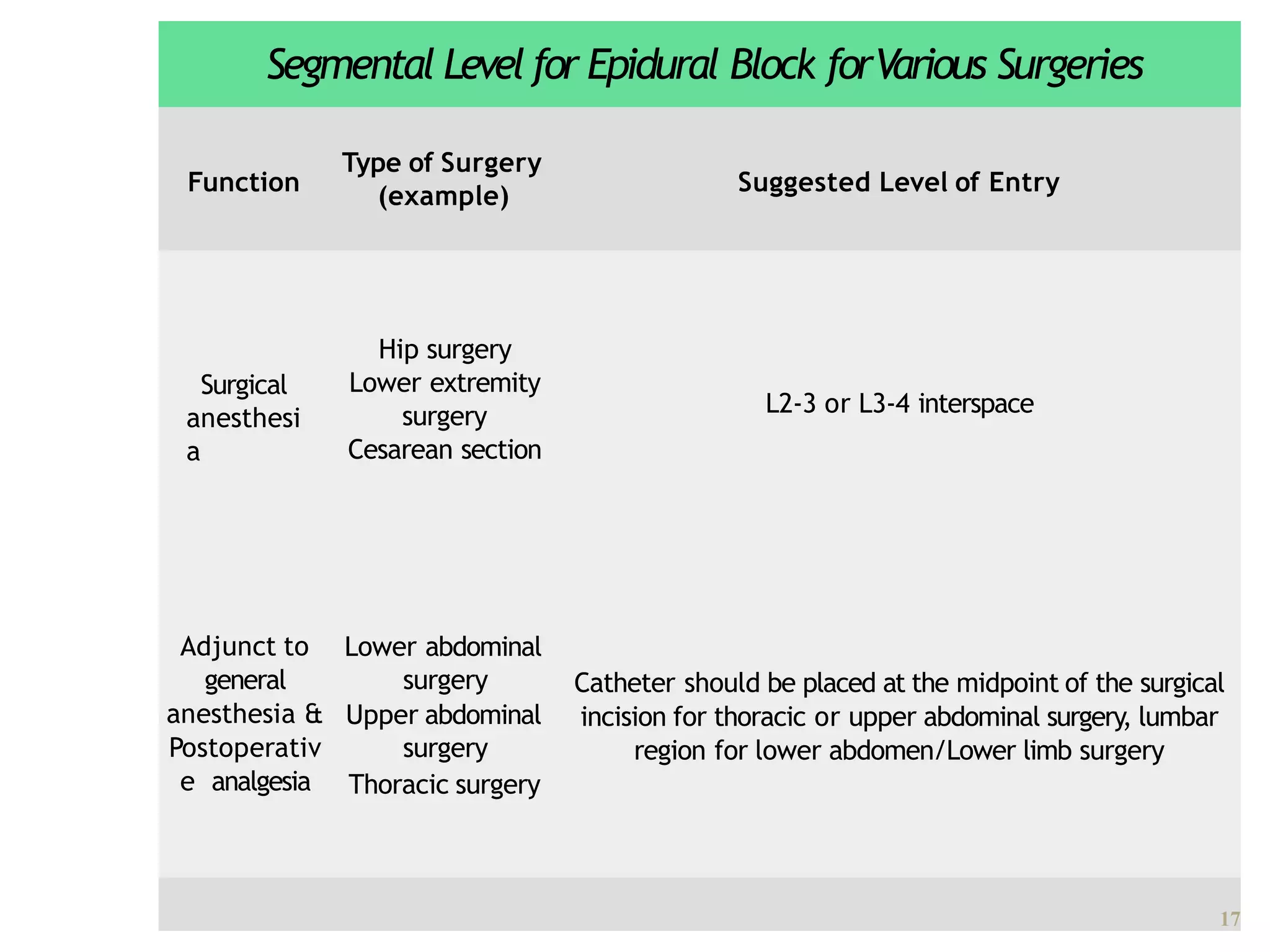 EPIDURAL PPT.pptx