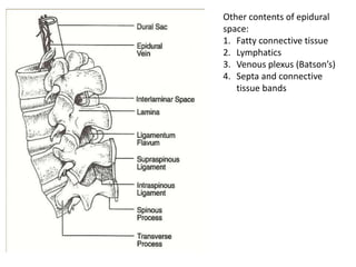 Epidural anesthesia.pptx