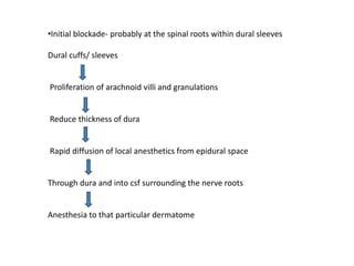 Epidural anesthesia.pptx