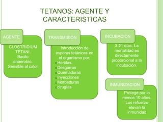 Epidemiologia Del Tetanos Accidental | PPTX