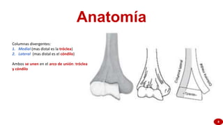 epífisis distal de humero distal revicion.ppt