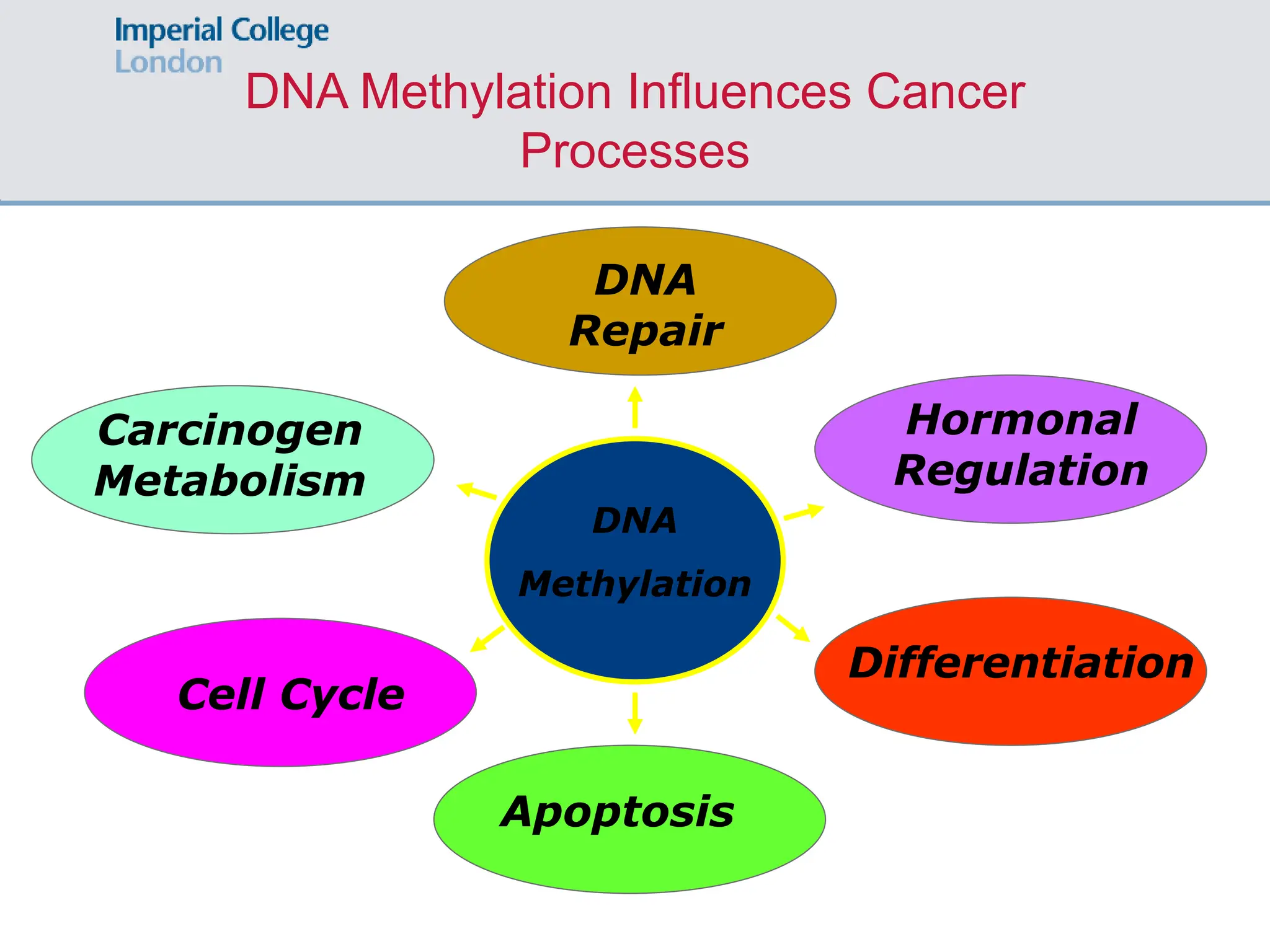 Epigenetic Mechanisms and Gene-environment interaction the role of ...