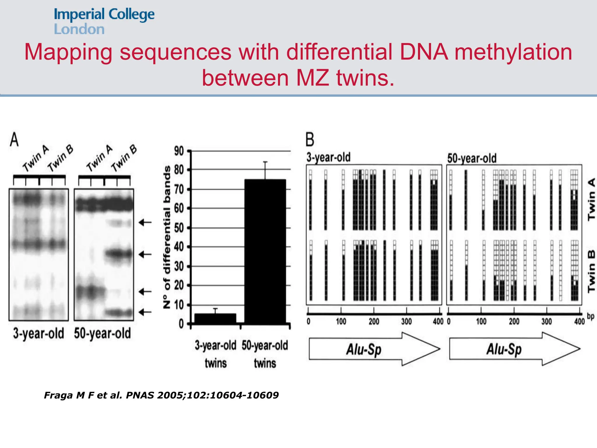 Epigenetic Mechanisms and Gene-environment interaction the role of ...