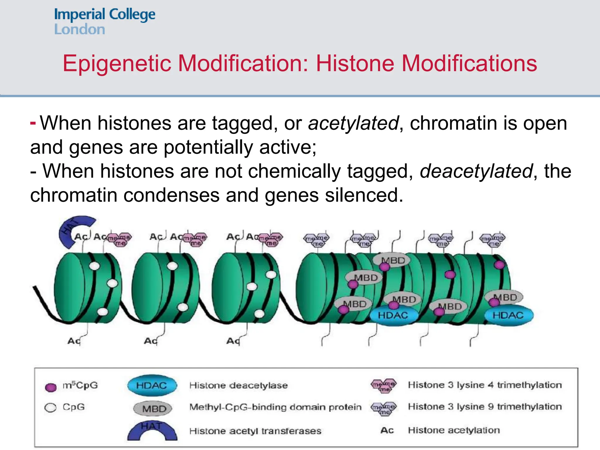 Epigenetic Mechanisms and Gene-environment interaction the role of ...