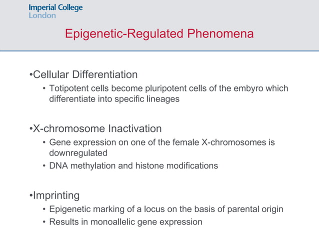 Epigenetic Mechanisms and Gene-environment interaction the role of epigenetics | PPT