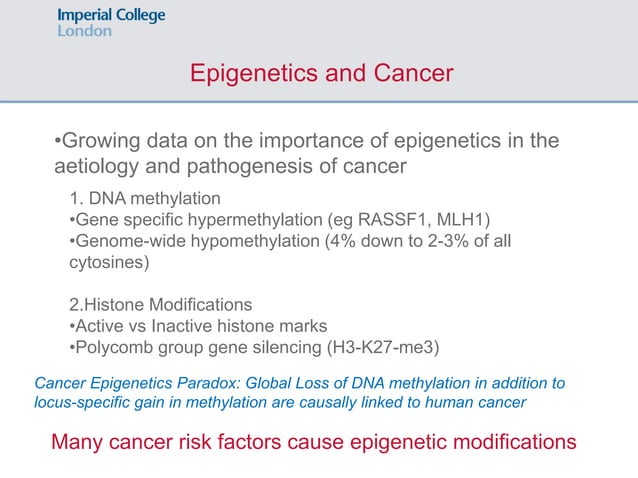 Epigenetic Mechanisms and Gene-environment interaction the role of ...