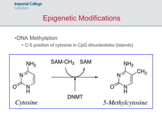 Epigenetic Mechanisms and Gene-environment interaction the role of ...