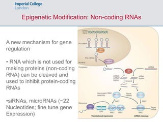 Epigenetic Mechanisms and Gene-environment interaction the role of ...