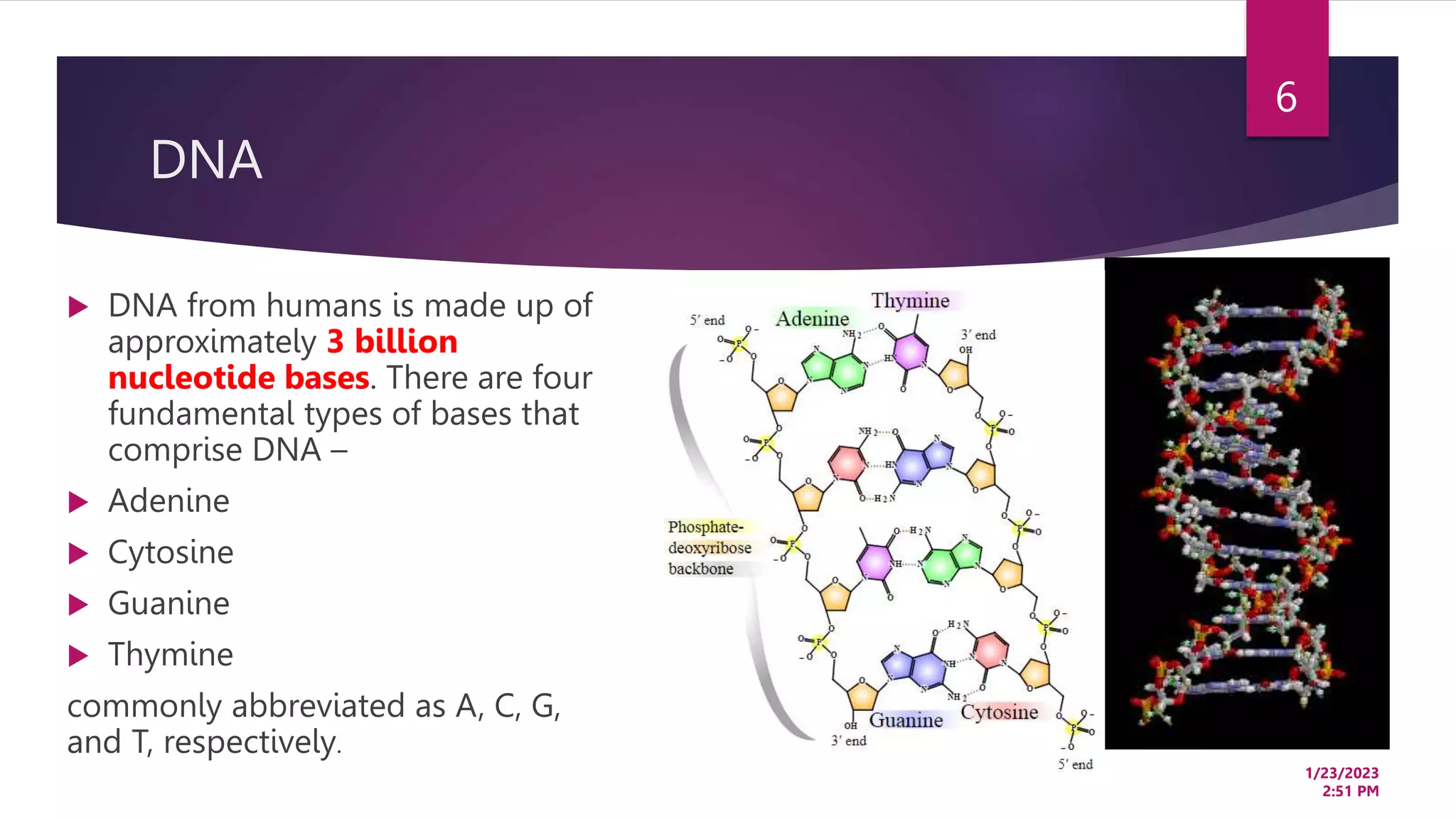 Epigenesis.pptx