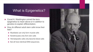 Epigenesis.pptx