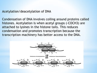 Epigenetic | PPT
