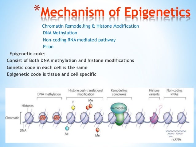 Epigenetic