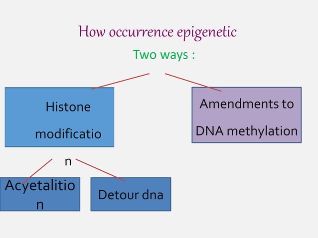 Epigenetic | PPTX