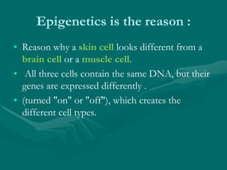 what is Epigenetics and It's Functionality | PPTX