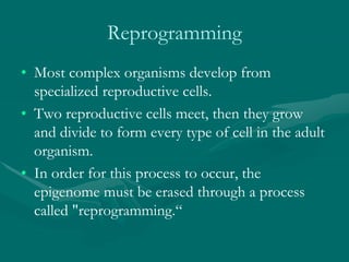 what is Epigenetics and It's Functionality | PPTX