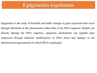 EPIGENETIC.pptx
