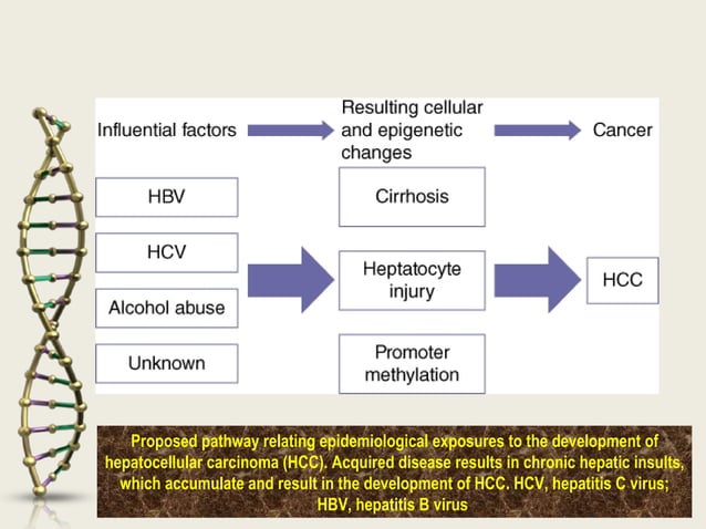 Epigenetic Changes in Hepatocellular Carcinoma (HCC) . | PPT