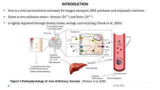 epigenetic in iron deficiency, a seminar presentation in the department ...