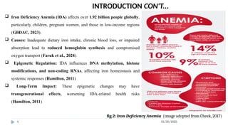epigenetic in iron deficiency, a seminar presentation in the department ...