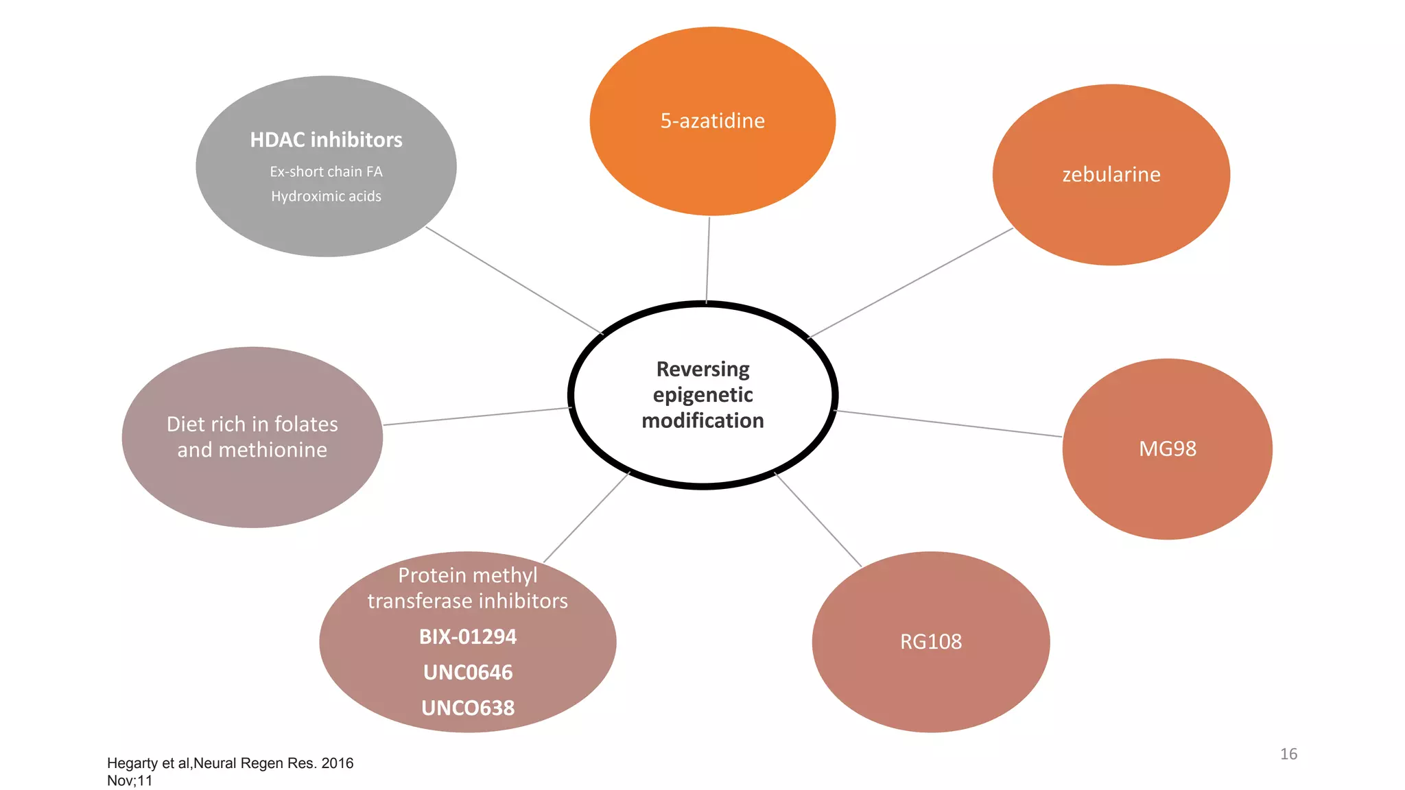Epigenetic mechanisms in Parkinsons disease | PPTX