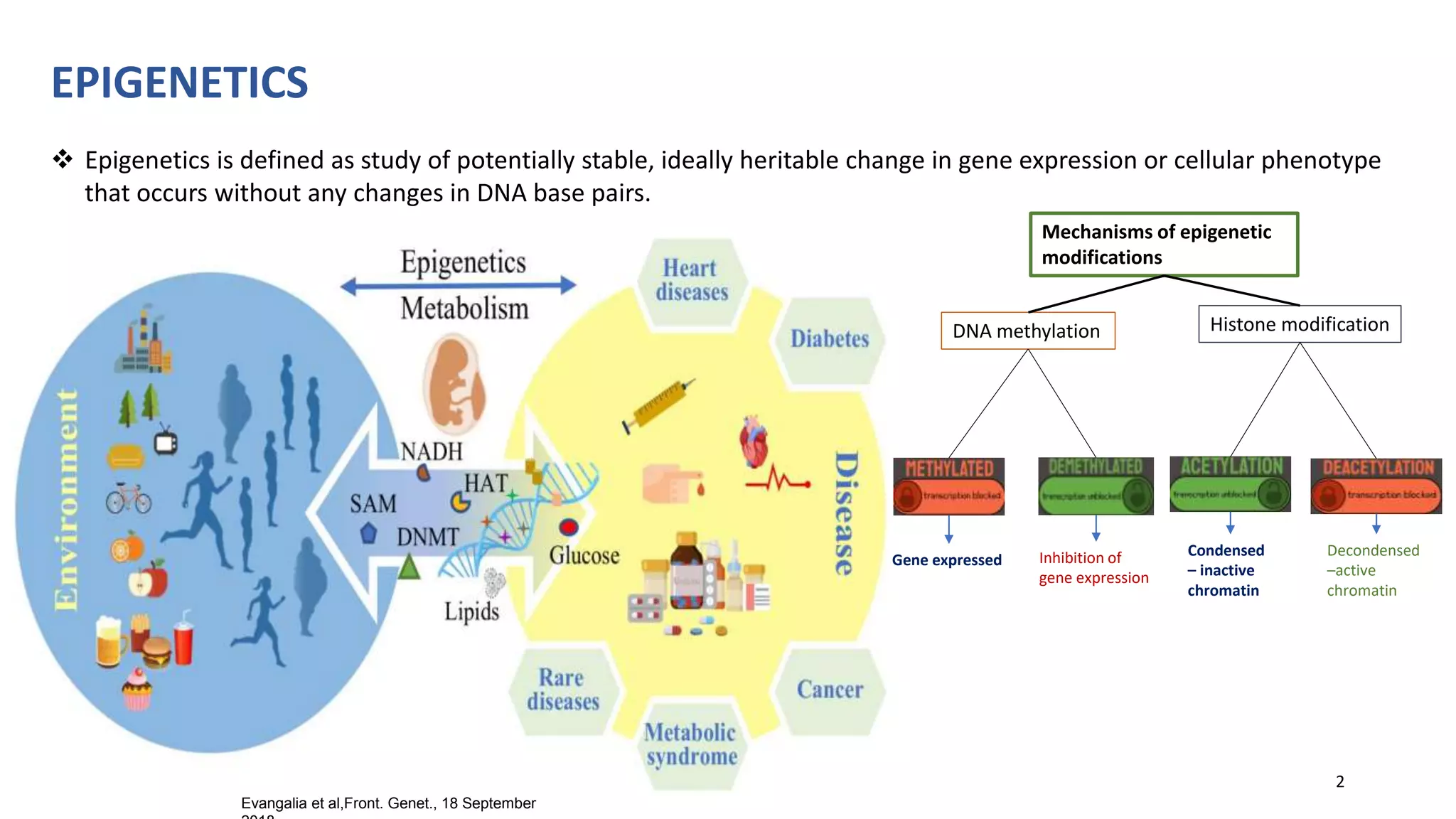 Epigenetic mechanisms in Parkinsons disease | PPTX