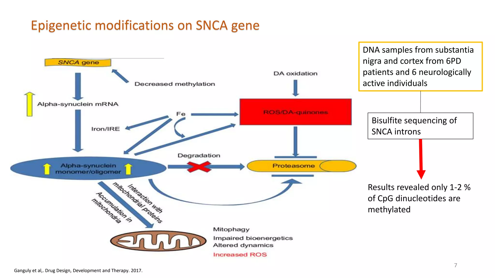Epigenetic mechanisms in Parkinsons disease | PPTX