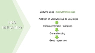 Epigenetic Mechanisms involved in Depression.pptx