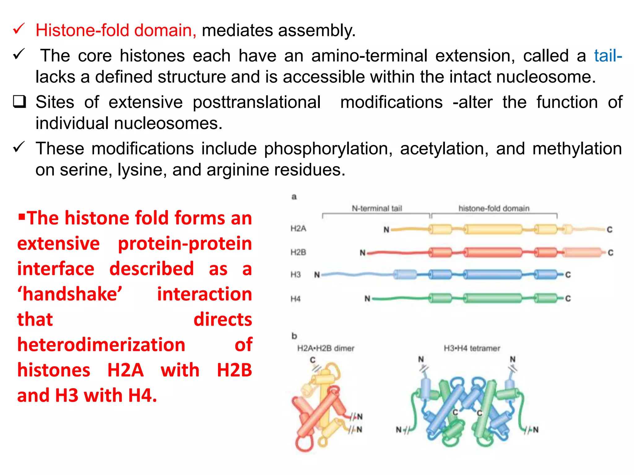 Epigenetics- Transcription regulation of gene expression | PPTX