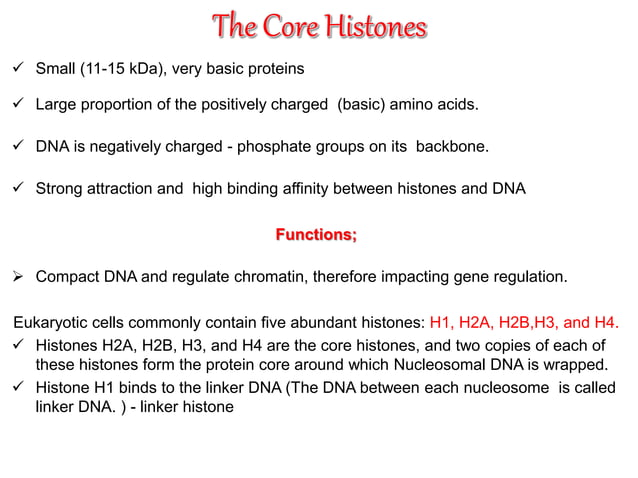 Epigenetics- Transcription regulation of gene expression | PPTX