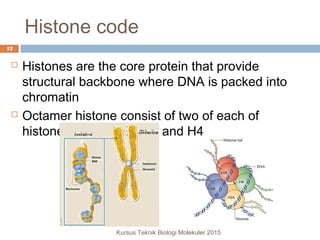 Epigenetic&ms pcr inna | PPT