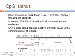 Epigenetic&ms pcr inna | PPT