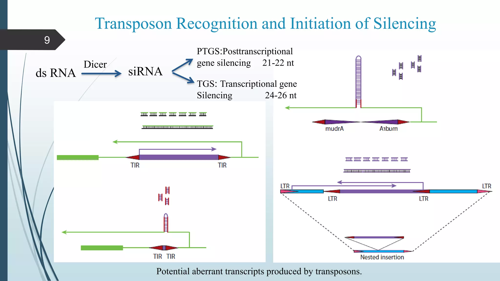 Epigenetic regulation ataee | PPTX