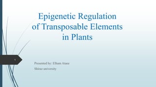 Epigenetic regulation ataee | PPTX