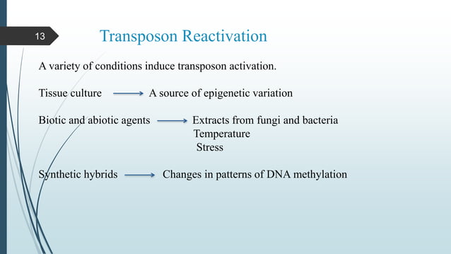 Epigenetic regulation ataee | PPTX