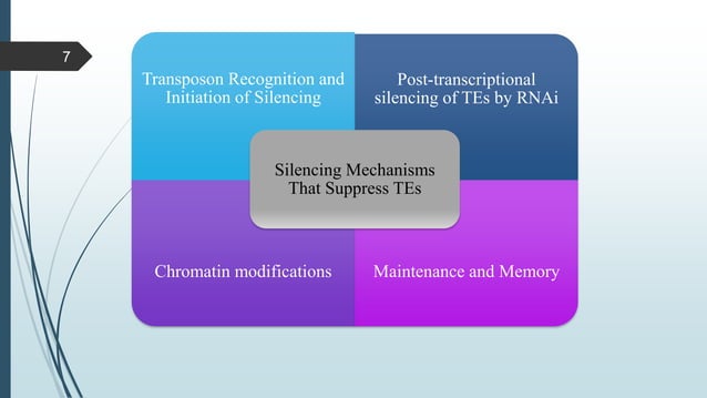 Epigenetic regulation ataee | PPTX