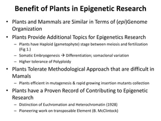 Epigenetic regulation in plants | PPTX
