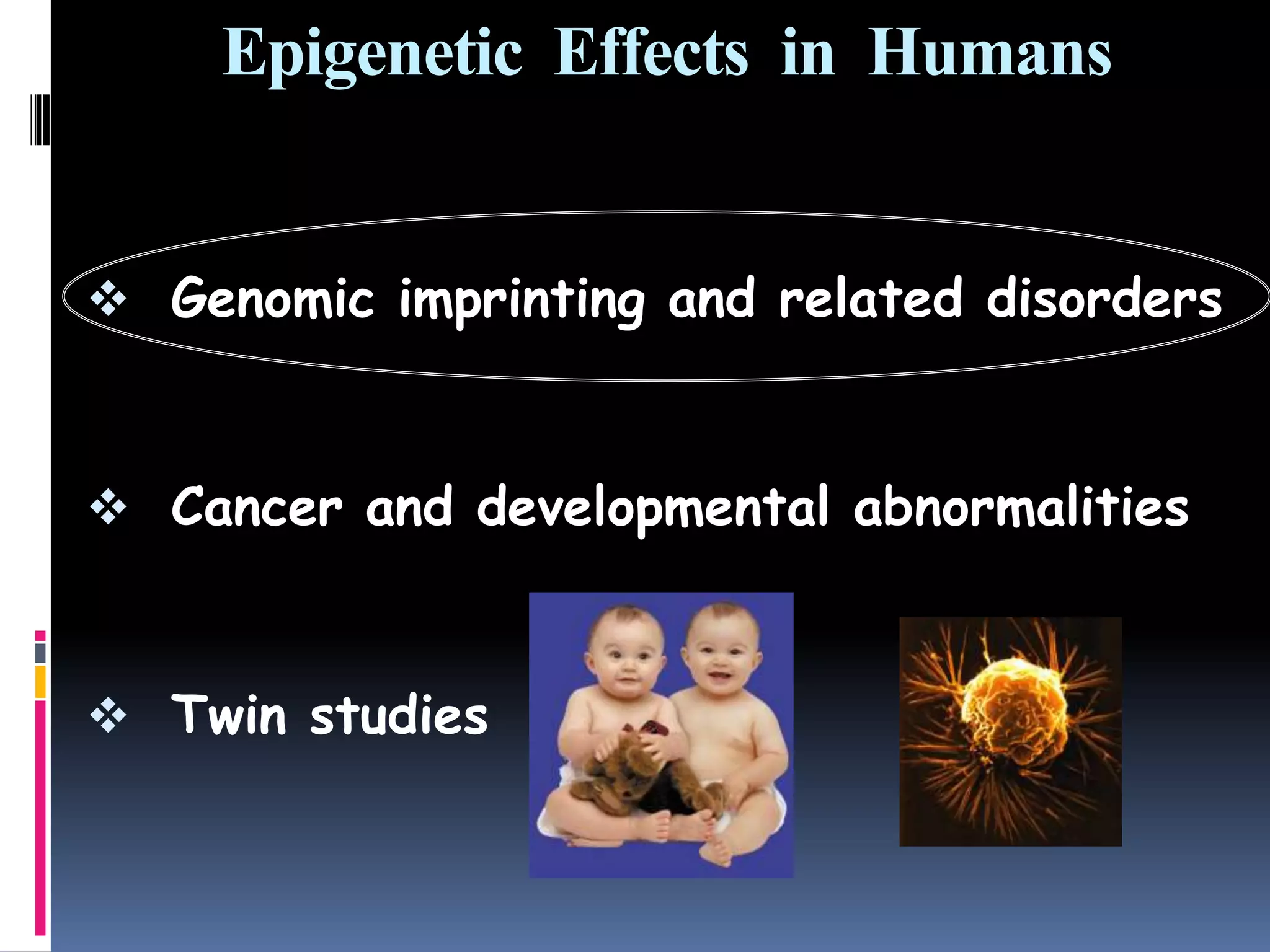 Epigenetics | PPTX