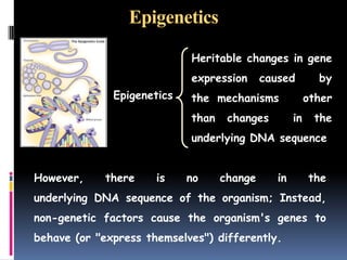 Epigenetics | PPTX