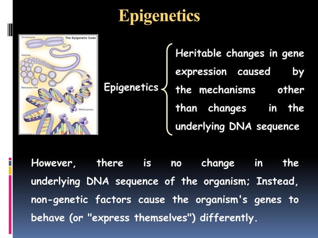 Epigenetics | PPTX