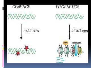Epigenetics | PPTX