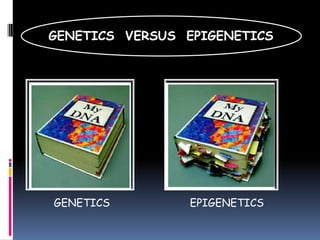 Epigenetics | PPTX
